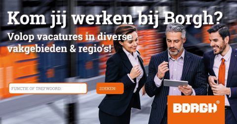 Waarom werken bij Borgh? 10 redenen! | Borgh